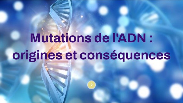 Mutation de l'ADN: Origines et conséquences | Genially