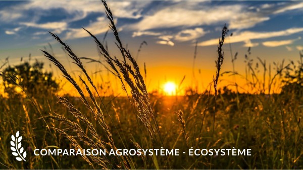 Structure d'un agrosystème (2nde) | Genially