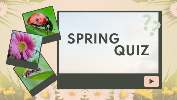 SPRING QUIZ