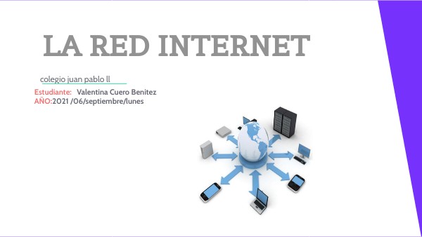 LA RED INTERNET