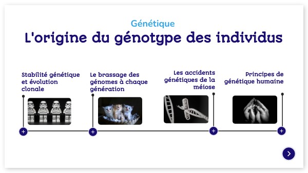 Génétique | Genially