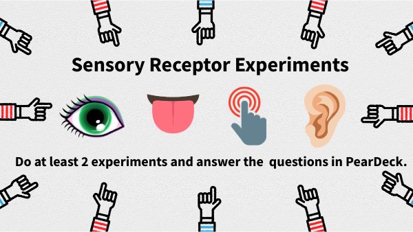 Sensory Receptors Experiments