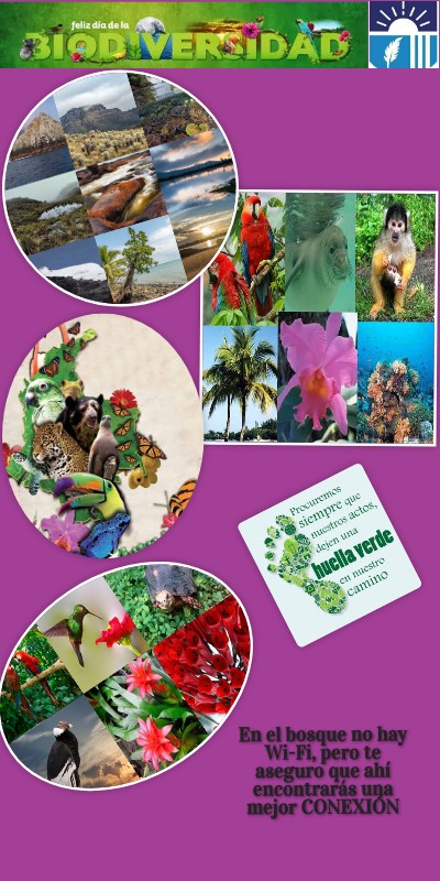 LA BIODIVERSIDAD EN COLOMBIA