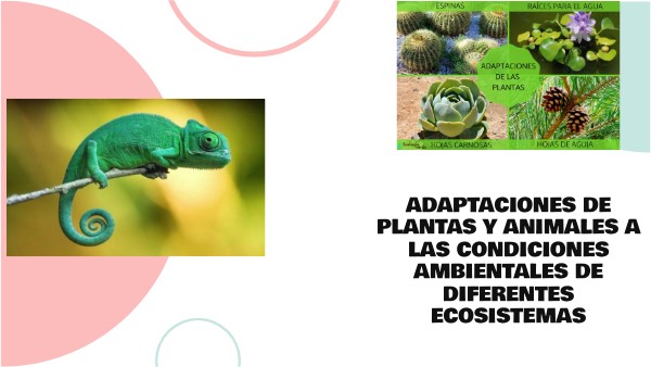 ADAPTACIONES EN ANIMALES Y PLANTAS | Genially