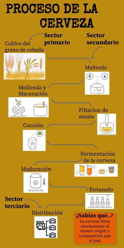 Proceso de la cerveza