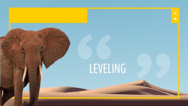 Leveling - Unscramble Questions