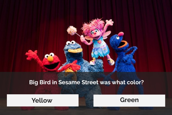 Big Bird COL