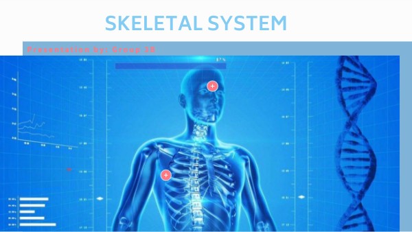 BONE FORMATION AND REMODELING BY 3B