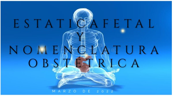 Estática Fetal | Genially