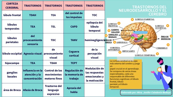 TRASTORNOS DEL NEURODESARROLLO Y EL CEREBRO | Genially