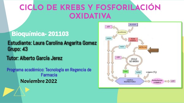 Ciclo de Krebs y Fosforilación oxidativa_ Laura Angarita | Genially