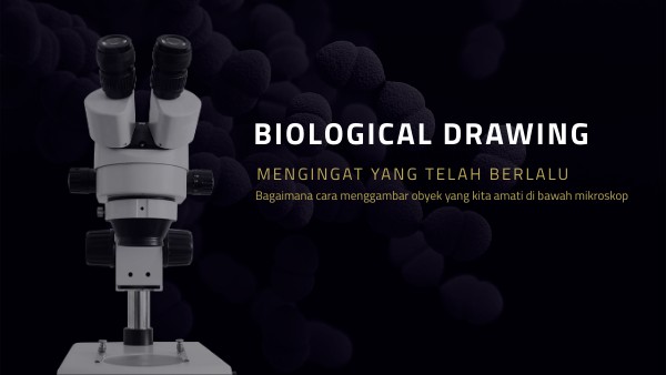 Biological Drawing