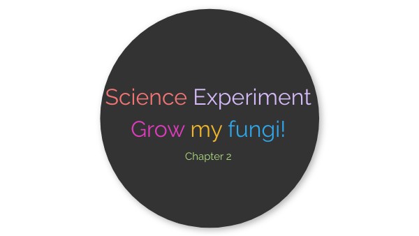Science Experiment (chapter 2)