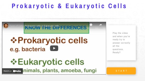 PROKARYOTE & EUKARYOTE QUIZ VIDEO