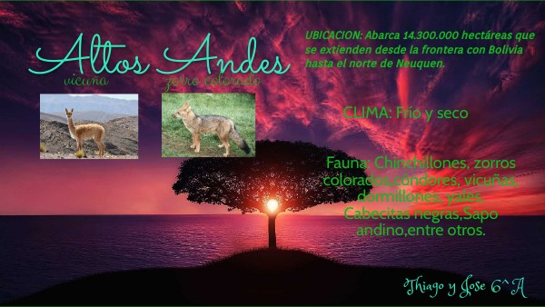 Altos Andes | Genially