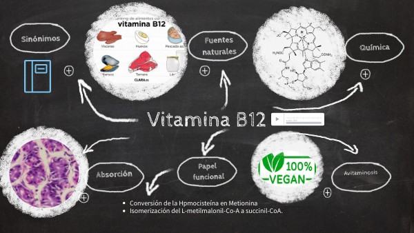 Vitamina B12 | Genially