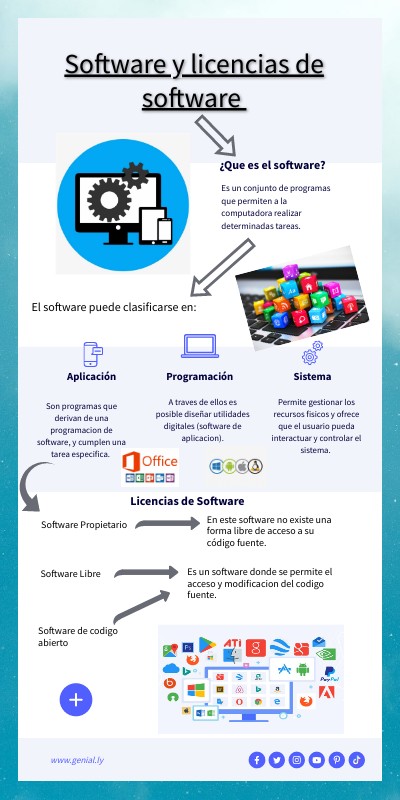 INFOGRAFÍA SOFTWARE