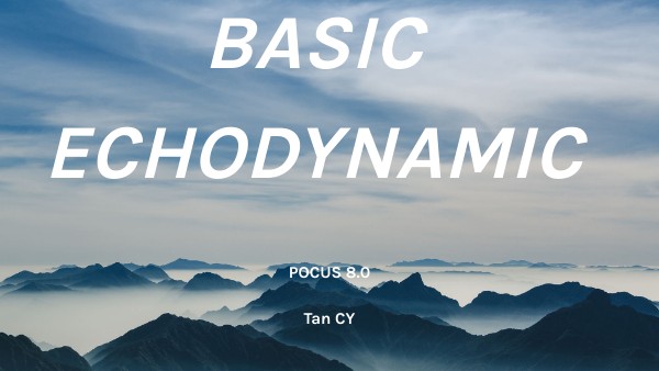 BASIC ECHODYNAMICS