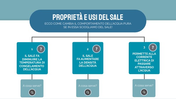 Proprietà e usi del sale | Genially