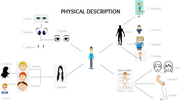 Physical description adjectives | Genially