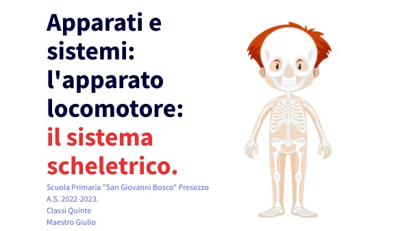 L'apparato locomotore 1: il sistema scheletrico | Genially