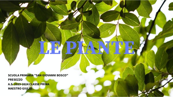 Le piante 02 | Genially