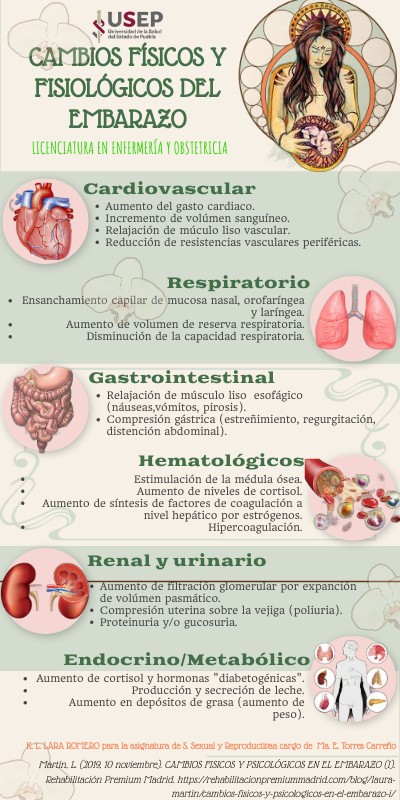 INFOGRAFÍA CAMBIOS DEL EMBARAZO | Genially