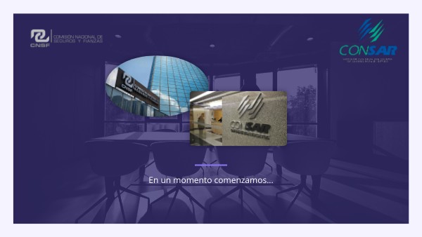 Instituciones de Seguros y Fianzas / CONSAR