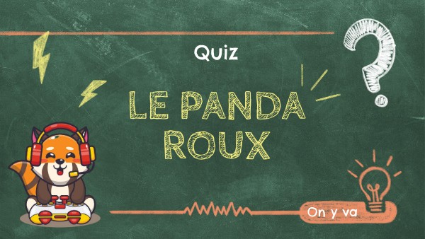 Panda Roux quiz | Genially