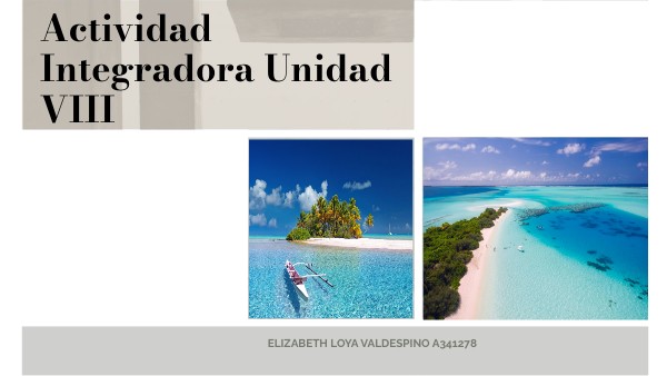 Actividad Integradora Unidad VIII