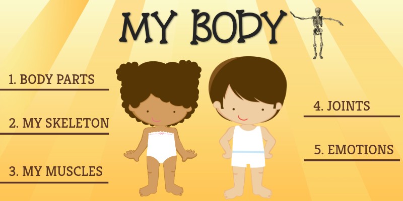 My body - 1st grade Majid | Genially