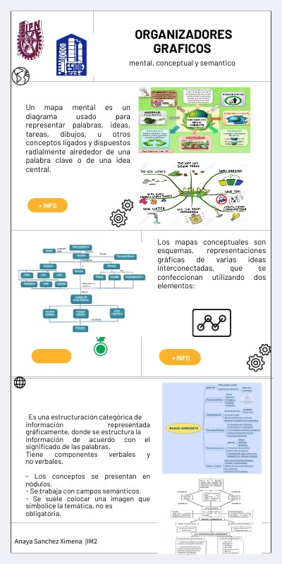 organizador grafico | Genially