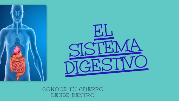 PRESENTACIÓN SISTEMA DIGESTIVO | Genially