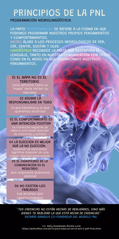 Presentación Principios de PNL | Genially