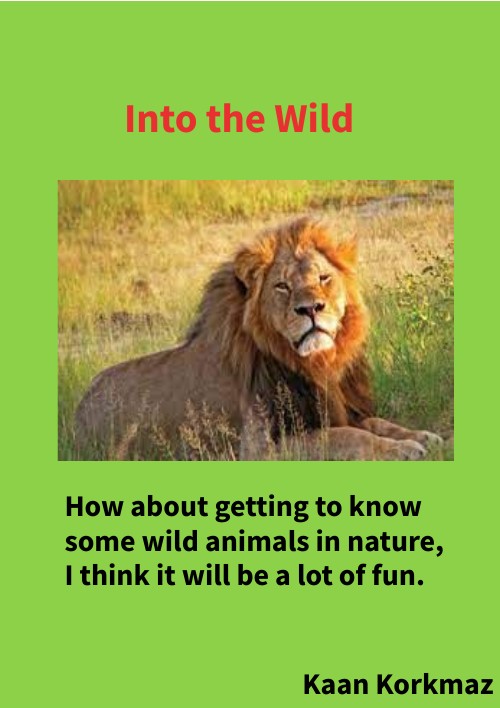 İn to the Wild | Genially
