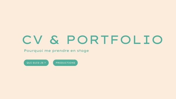 PORTFOLIO FS
