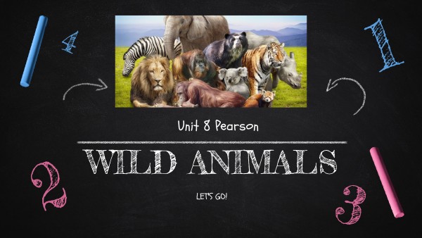 WILD ANIMALSM3RD