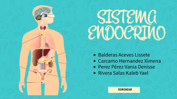 Sistema Endocrino