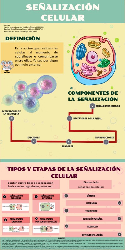 COMUNICACIÓN CELULAR