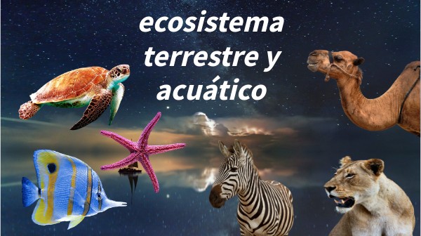 ECOSISTEMAS TERRESTRE Y ACUATICO