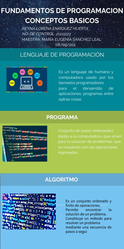 conceptos básicos F. programación | Genially