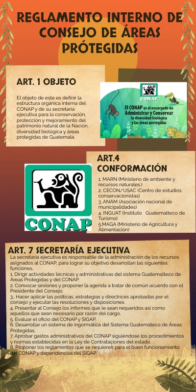 reglamento organico interno conap | Genially