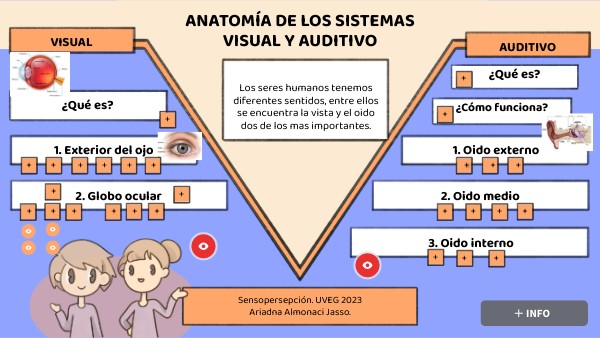 Anatomía de los sistemas visual y auditivo