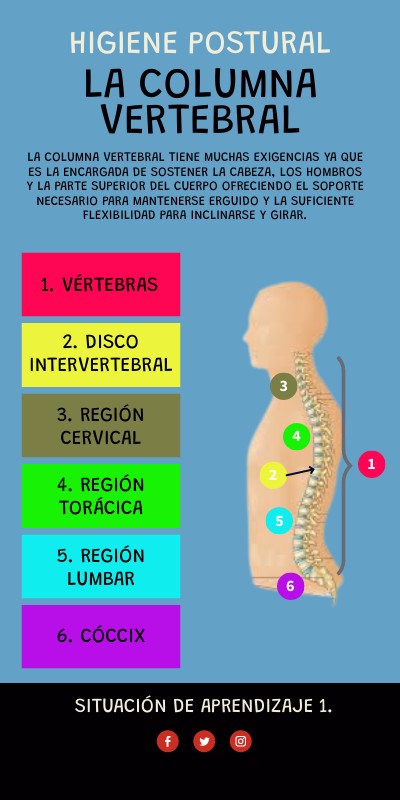 LA COLUMNA VERTEBRAL | Genially