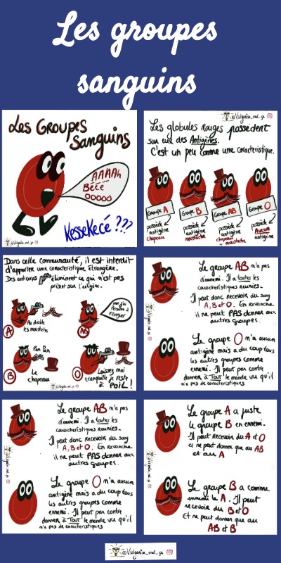 STEPS BICOLOR INFO | Genially