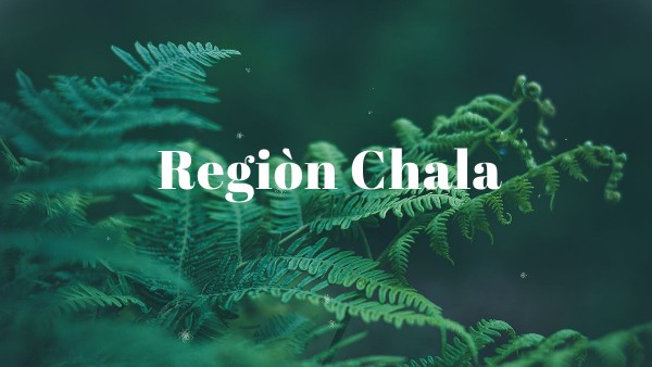 PRESENTACIÓN de la Region Chala | Genially