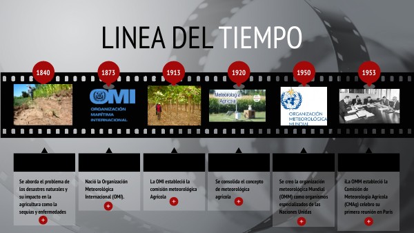 linea del tiempo