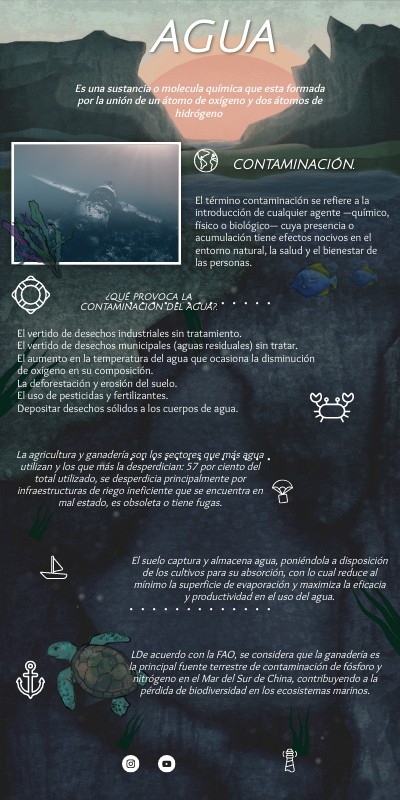 Infografía Agua | Genially