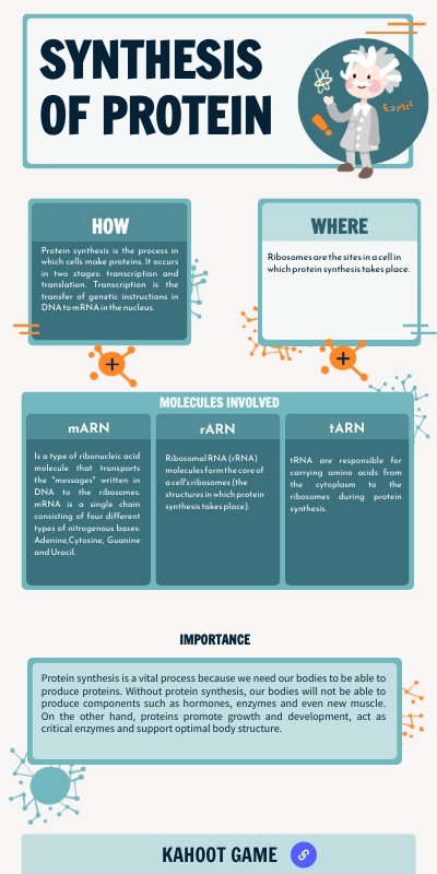 INFO SYNTHESIS OF PROTEIN | Genially