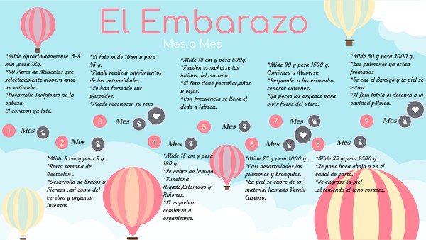 El embarazo | Genially
